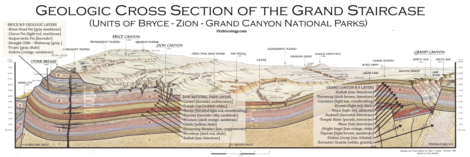 Toroweap/Coconino/White Rim Sandstone (Geology of The Grand Canyon ...