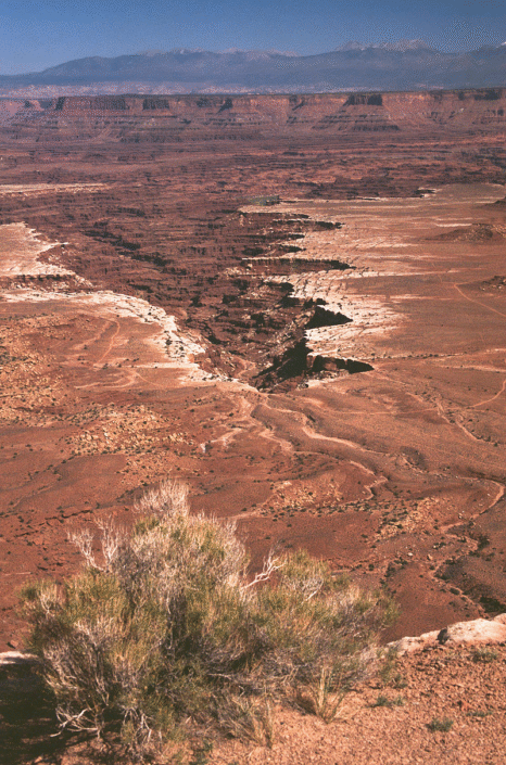 Toroweap/Coconino/White Rim Sandstone (Geology of The Grand Canyon ...
