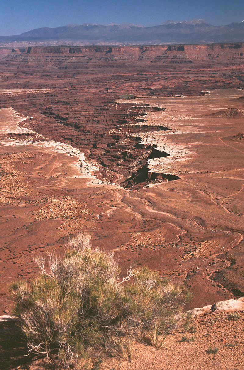 Toroweap/Coconino/White Rim Sandstone (Geology of The Grand Canyon ...